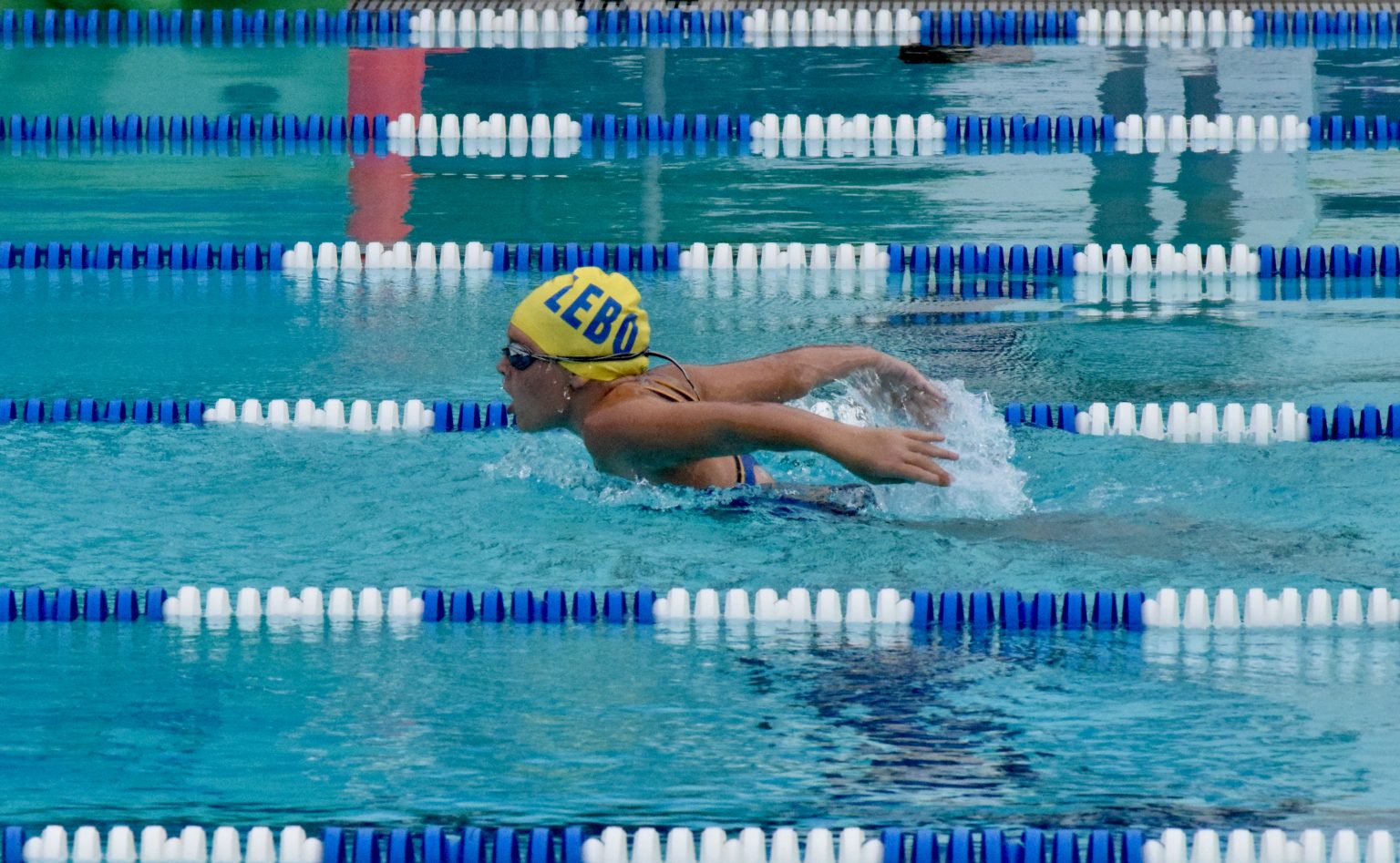 Aqua Club Makes a Splash - Mt Lebanon Magazine