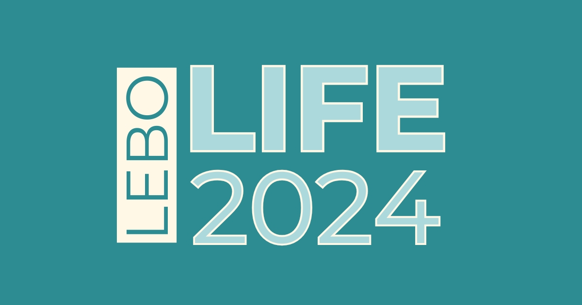 2024 Wrapped: Blog Edition - Mt Lebanon Magazine